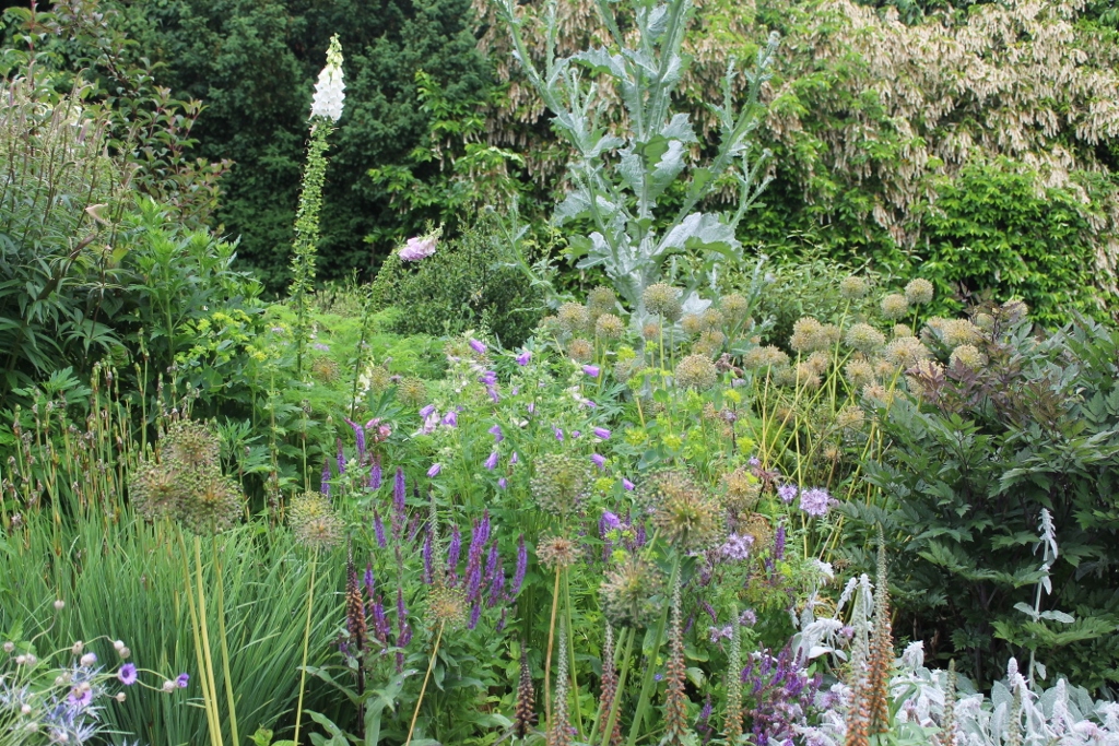 Gardens of Shropshire 3-5 July 2021 - Dorothy Clive - Hardy Plant ...